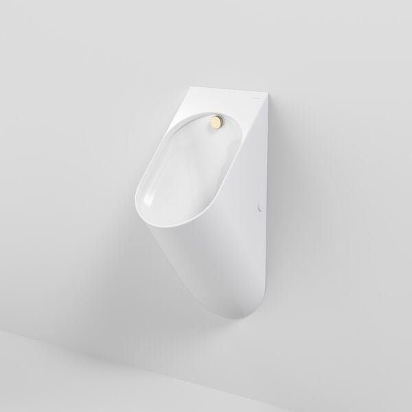 Urinal Toilets Guide | Wall-Mounted & Water-Saving Urinals in Australia ...